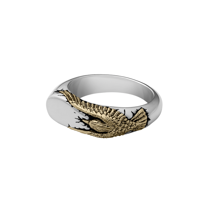 Bad Omen: Raven Ring Sterling Silver for Men – Clocks and Colours